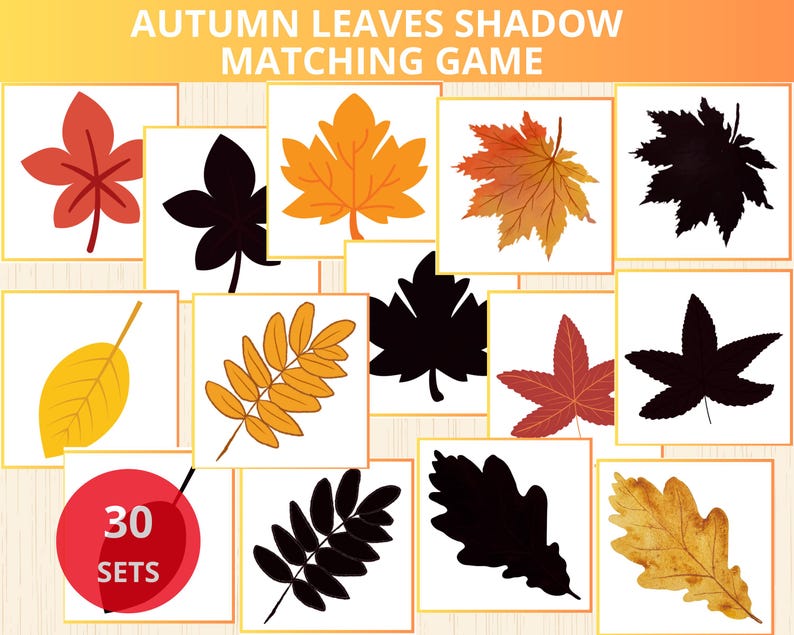 Fall Matching Activities, Autumn Leaves Shadow Matching Game,fall ...
