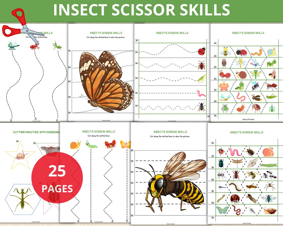 Spring Cutting Practice,insect Scissor Strips, Scissor Skills Practice ...