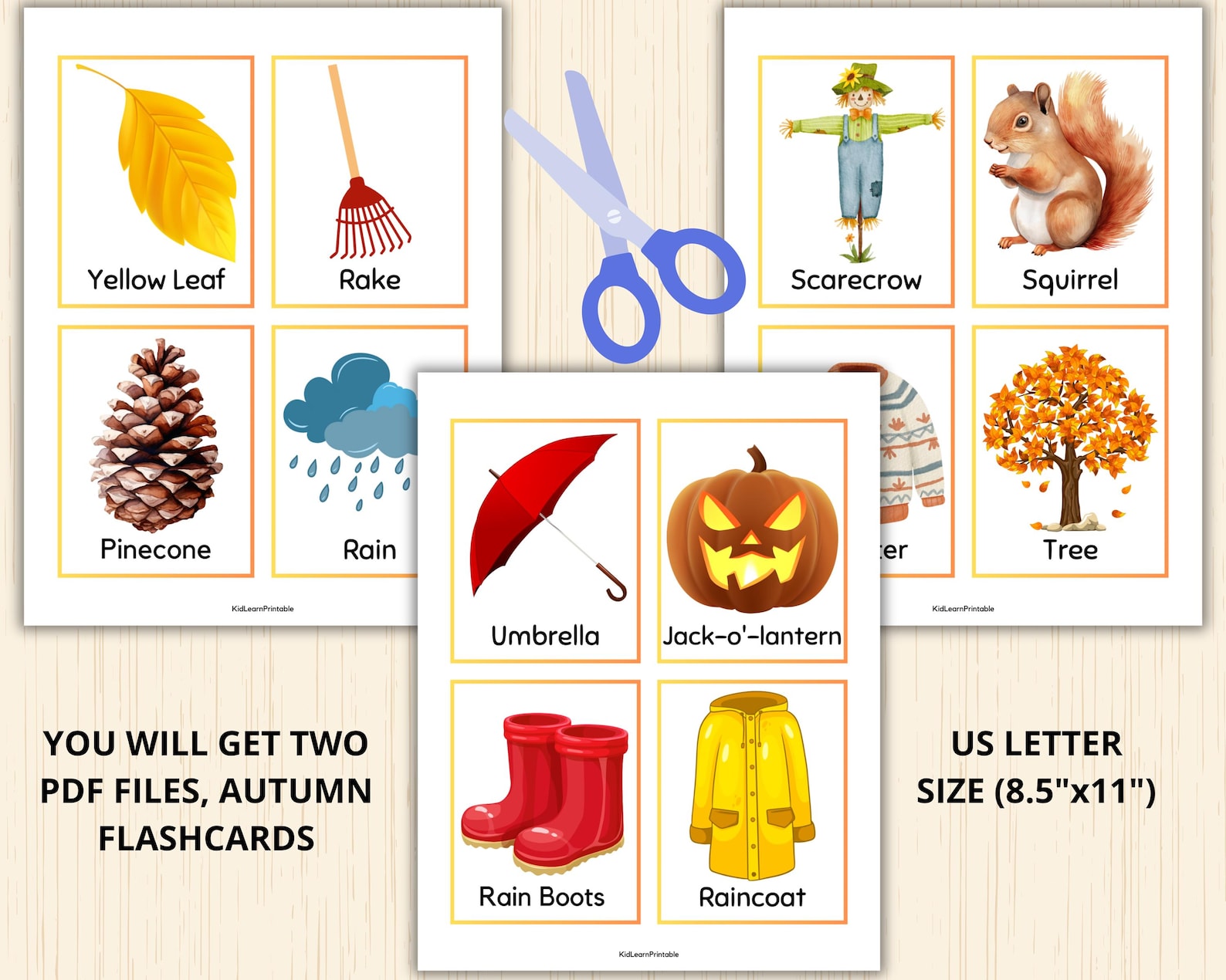 Autumn Flashcard,fall Vocabulary,nature Cards,autumn Montessori,autumn ...
