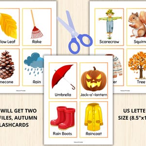 Autumn Flashcard,fall Vocabulary,nature Cards,autumn Montessori,autumn ...