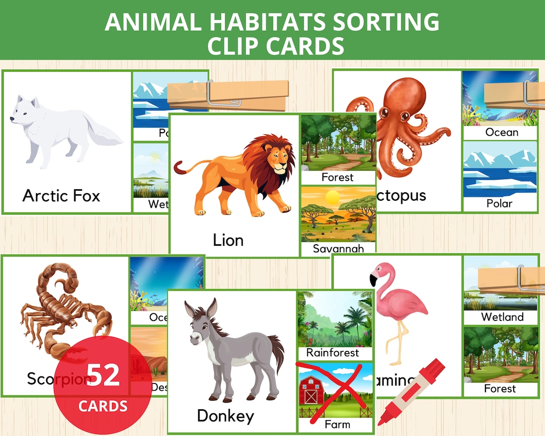 Animals Habitat Sorting,habitat Sorting Mats,animal Habitat Matching ...