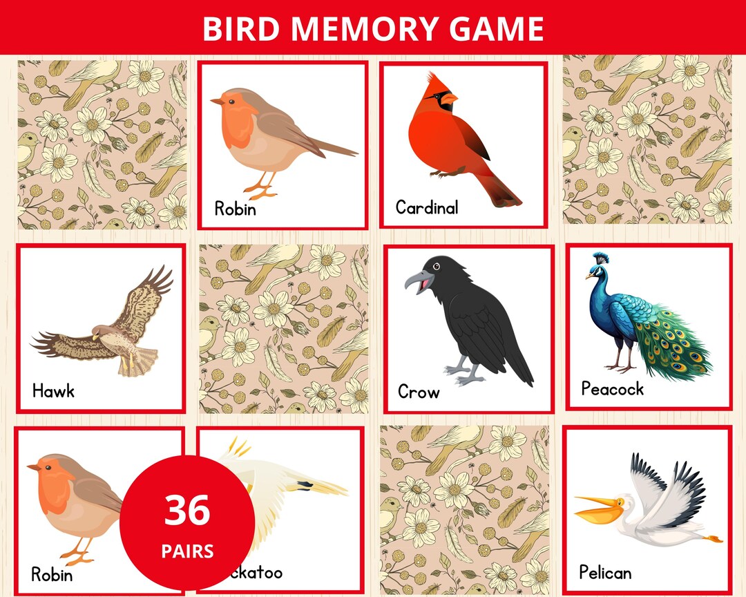 Birds Memory Game,bird Matching Activity,bird Vocabulary,backyard Birds ...