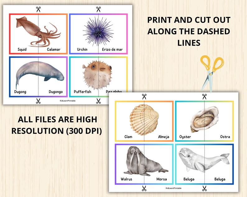 Bilingual Ocean Animals Cards,sea Animals Matching Game,marine Animals ...