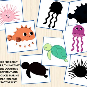 Ocean Animals Shadow Matching Cards,sea Animals Shadow,sea Animals ...