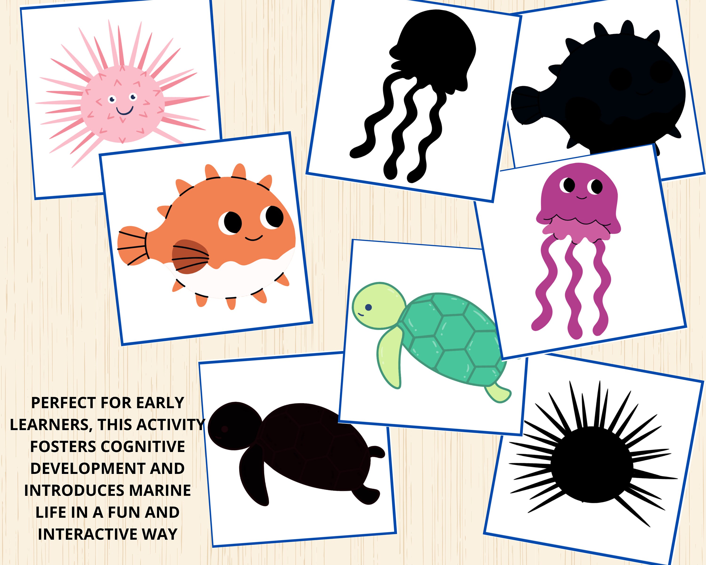 Ocean Animals Shadow Matching Cards,sea Animals Shadow,sea Animals ...