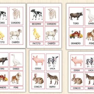 Farm Animals Montessori 3 Part Cards, Montessori Flash Cards, Farm ...