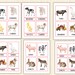 Farm Animals Montessori 3 Part Cards, Montessori Flash Cards, Farm ...