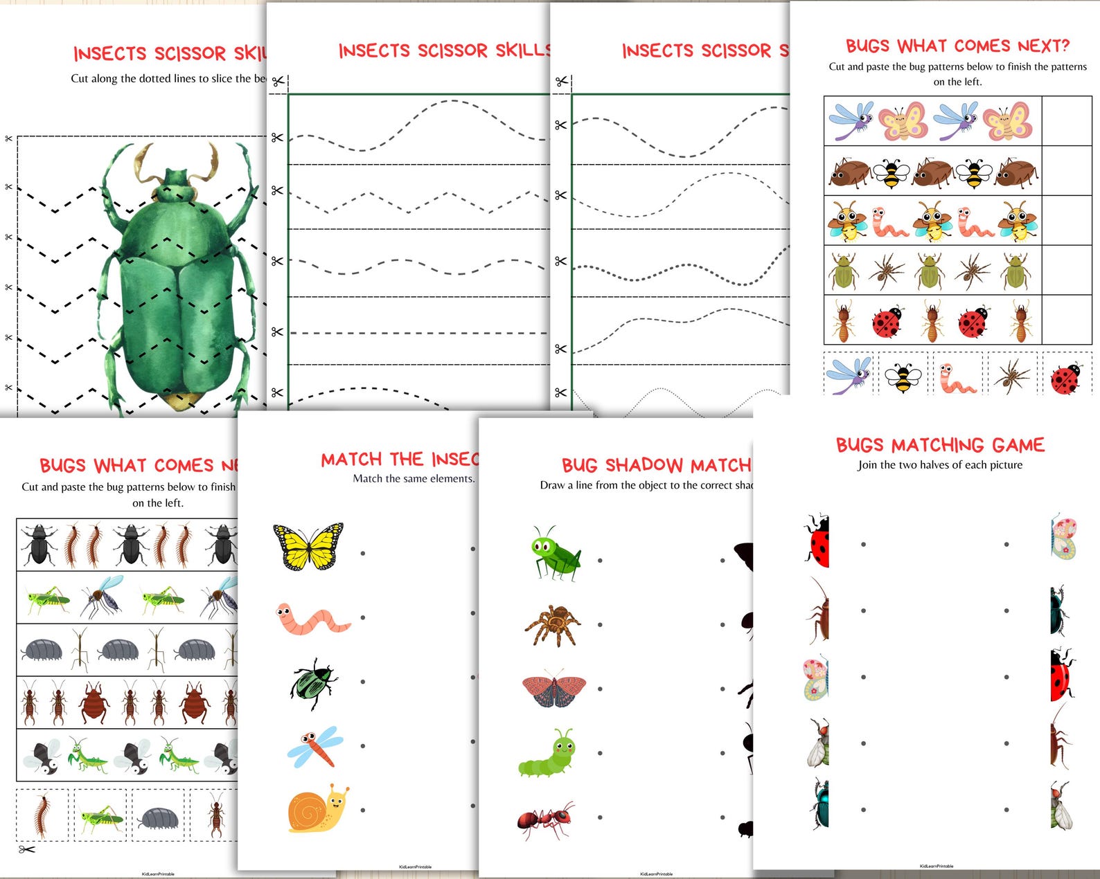 Insects Activity Book,insect Bundle,insect Unit Study,bugs Activity ...