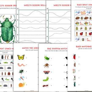 Insects Activity Book,insect Bundle,insect Unit Study,bugs Activity ...