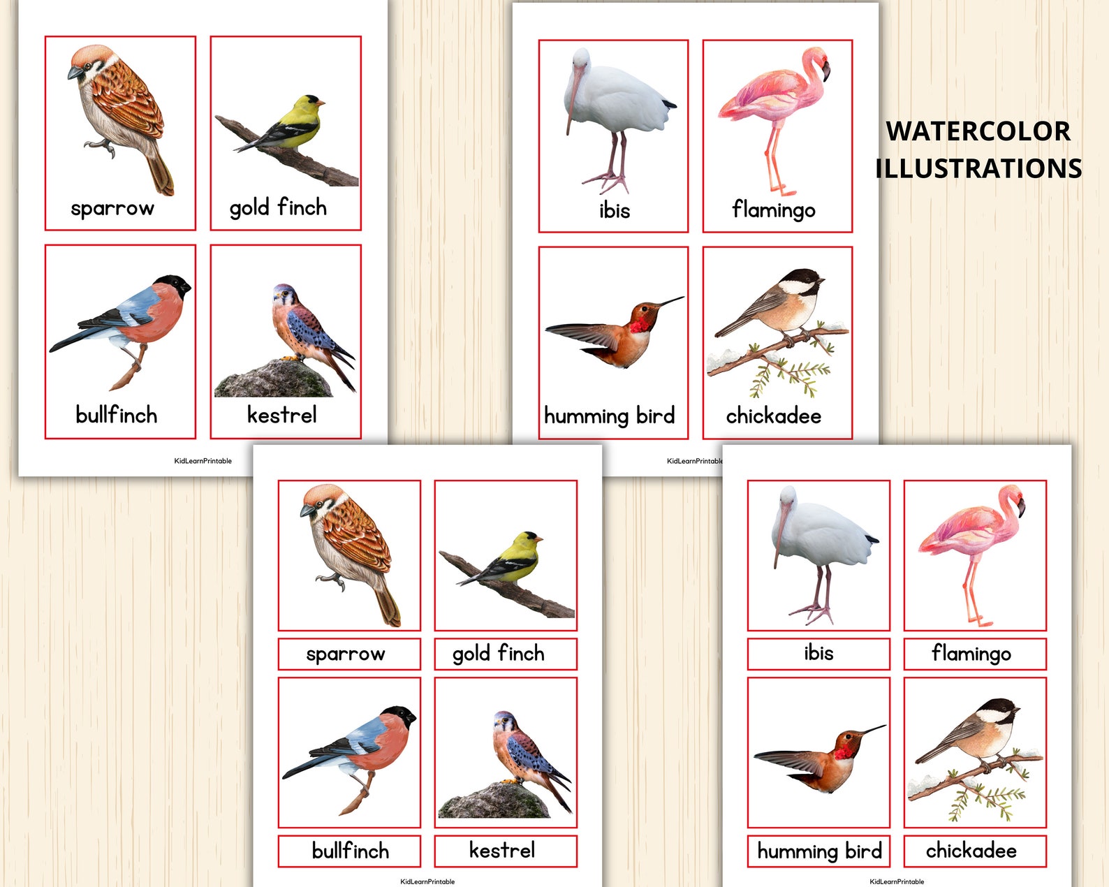 Birds Montessori Printable 3 Part Cards,us Bird Flashcards,spring ...