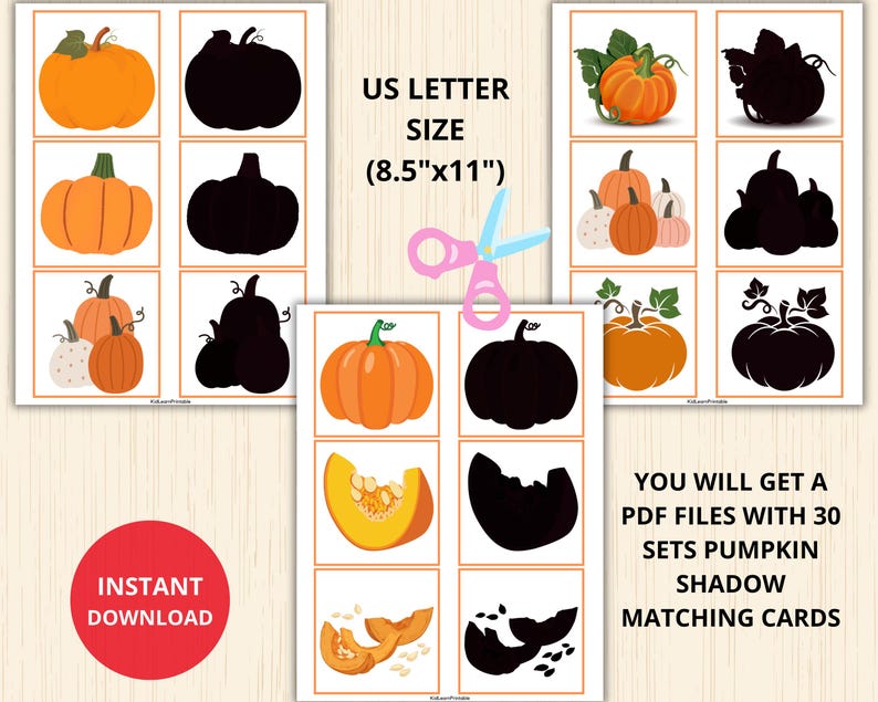 Pumpkin Shadow Matching,pumpkin Montessori,fall Activity Kids,fall ...