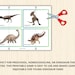 Dinosaur Flashcard,halves Matching,dinosaur Montessori,dinosaur ...
