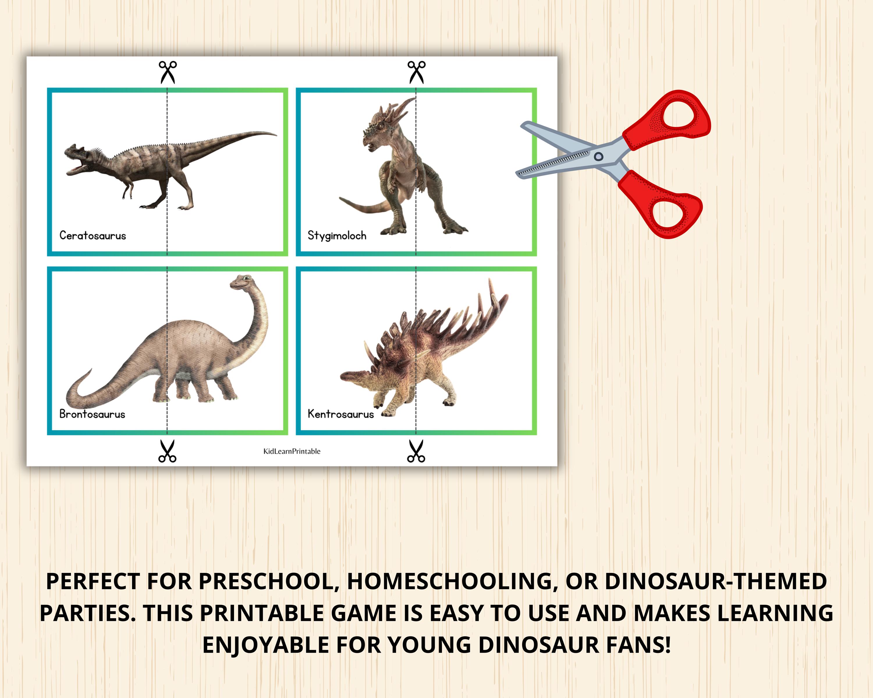 Dinosaur Flashcard,halves Matching,dinosaur Montessori,dinosaur ...