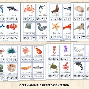Ocean Animal Phonics Clip Cards, Beginning Sound Activity, Sea Animals ...