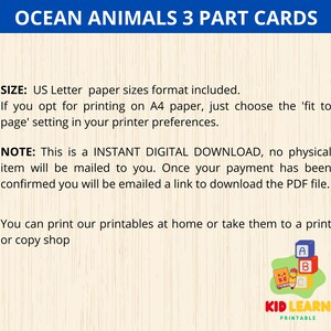 Ocean Montessori 3 Part Cards,sea Animals Vocabulary Cards,ocean Animal ...