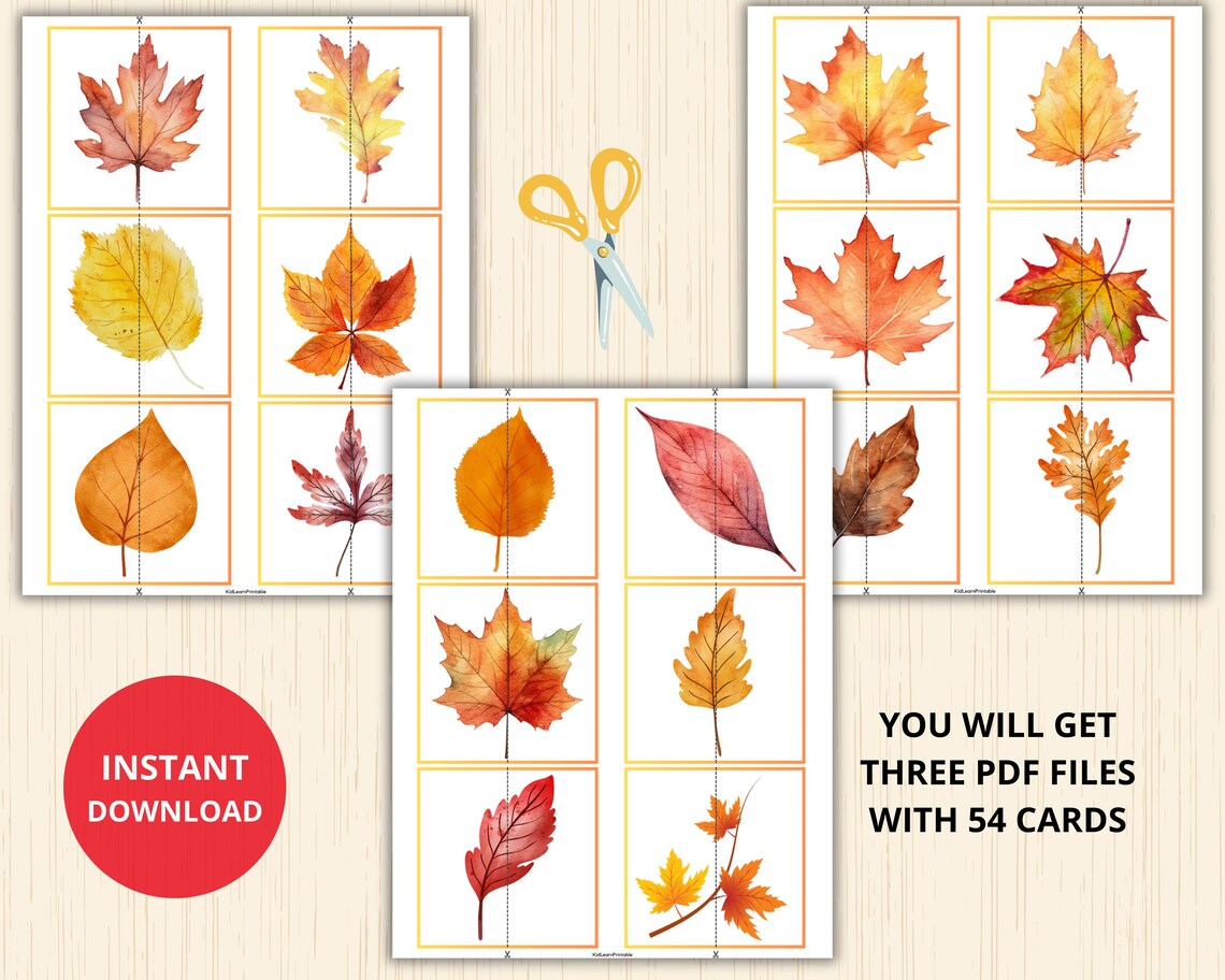 Matching Leaves,fall Activity for Kids, Toddler Activity,sensory Table ...