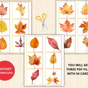 Matching Leaves,fall Activity for Kids, Toddler Activity,sensory Table ...