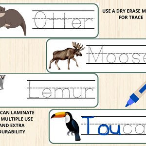 Zoo Animals Word Tracing Cards,zoo Animals Words Tracing,zoo Montessori ...