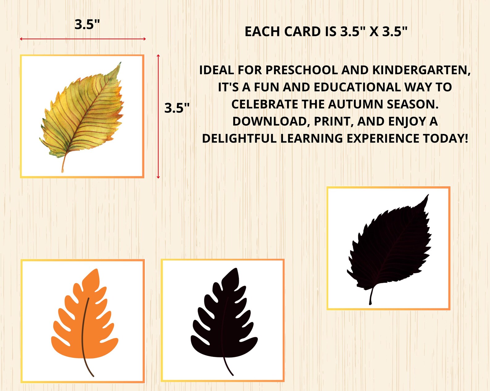 Fall Matching Activities, Autumn Leaves Shadow Matching Game,fall ...