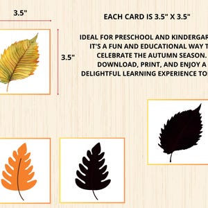 Fall Matching Activities, Autumn Leaves Shadow Matching Game,fall ...