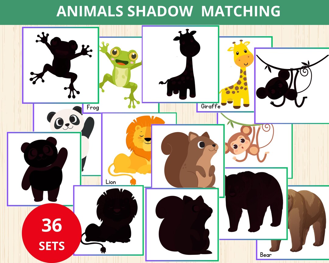 Animal Shadow Matching ,animal Puzzles,montessori Animal Shadow Match ...