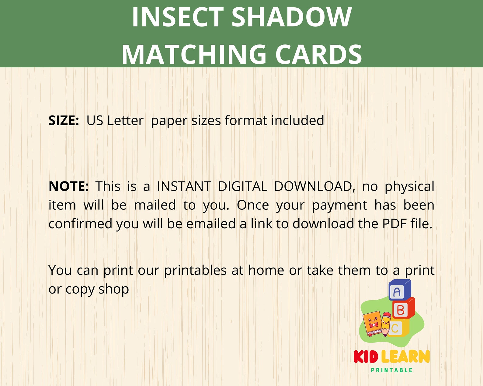 Insect Shadow Matching Cards,bug Shadow Matching, Preschool Insects ...