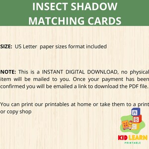 Insect Shadow Matching Cards,bug Shadow Matching, Preschool Insects ...
