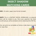 Insect Shadow Matching Cards,bug Shadow Matching, Preschool Insects ...