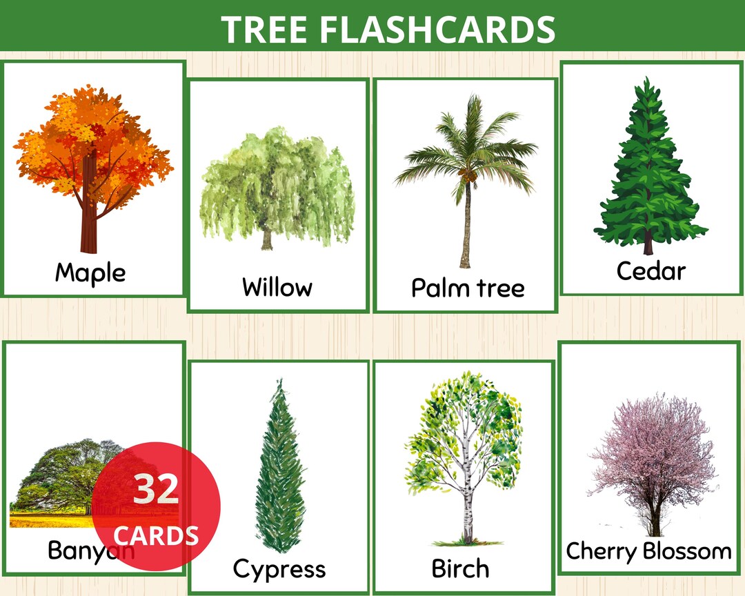Tree Flashcards,tree Montessori Preschool,tree Unit Study,forest ...