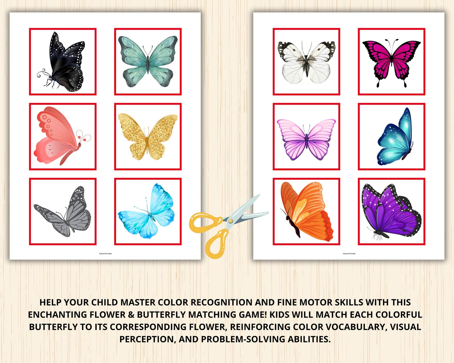 Flower Butterfly Color Matching,color Matching Game,spring Activity ...
