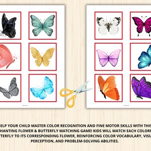 Flower Butterfly Color Matching,color Matching Game,spring Activity ...