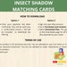 Insect Shadow Matching Cards,bug Shadow Matching, Preschool Insects ...