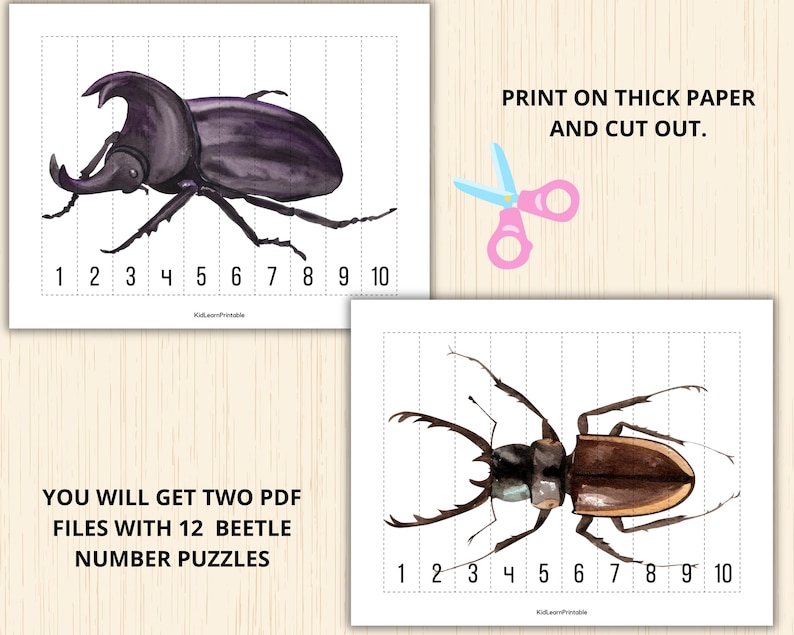 Beetle Number Puzzle,beetle Matching Activity,beetle Symmetry Puzzle ...