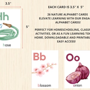 Gardening Alphabet Cards,nature Flashcard,abc Flashcard,alphabet Cards ...