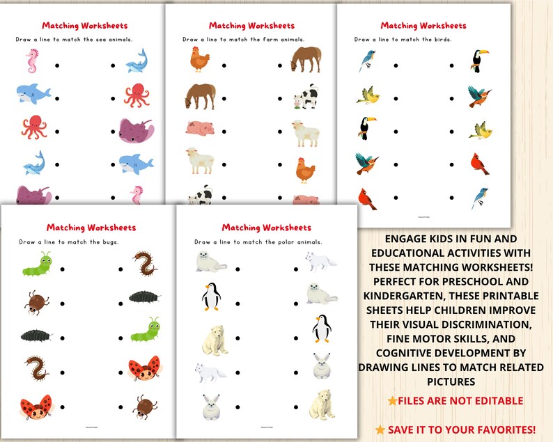 Matching Worksheets,match the Picture,learning Activities,matching Game ...