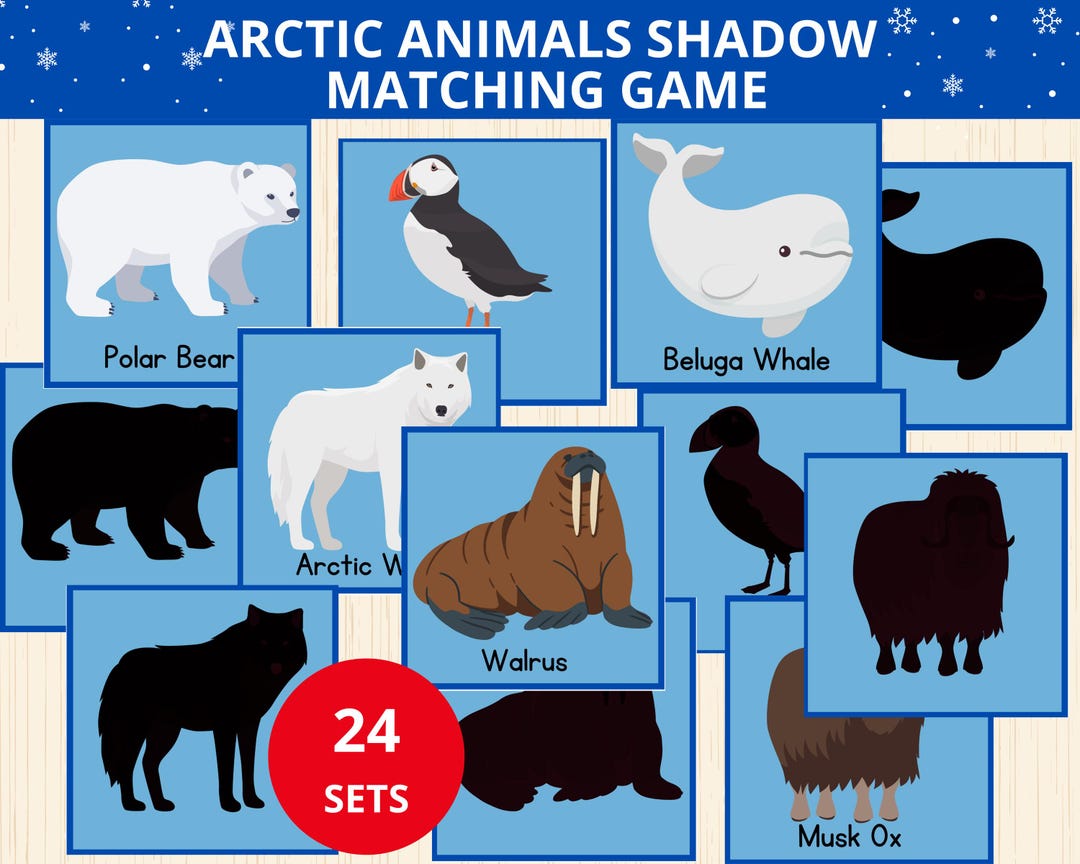 Arctic Animals Shadow Matching,north Pole Animals,winter Matching ...