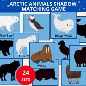 Artic Animals Worksheets Preschool - Etsy