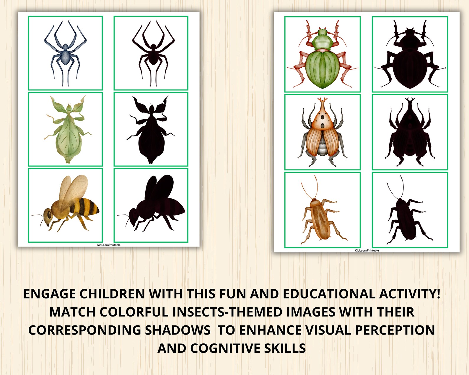 Insect Shadow Matching Cards,bug Shadow Matching, Preschool Insects ...