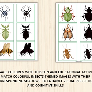 Insect Shadow Matching Cards,bug Shadow Matching, Preschool Insects ...