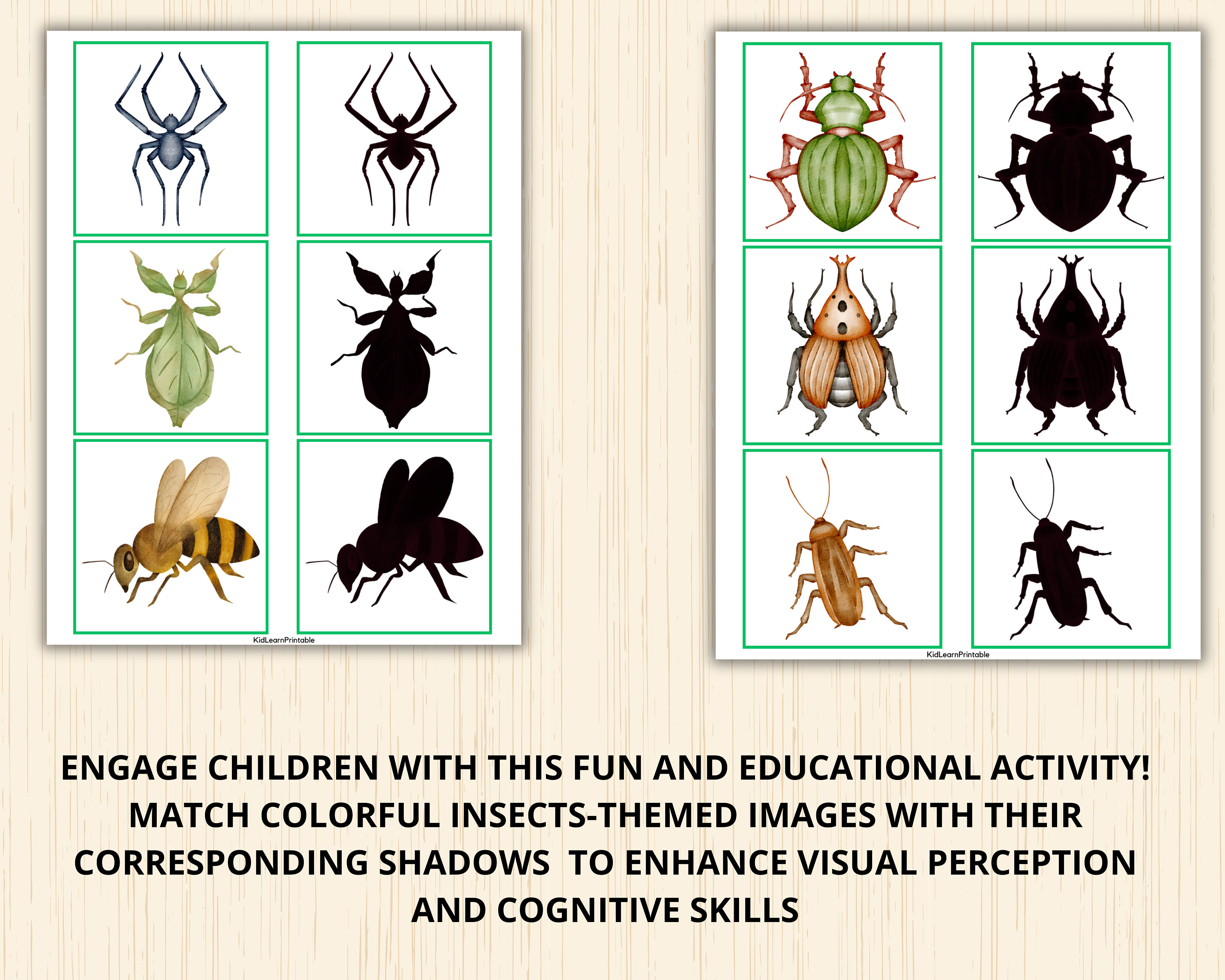 Insect Shadow Matching Cards,bug Shadow Matching, Preschool Insects ...