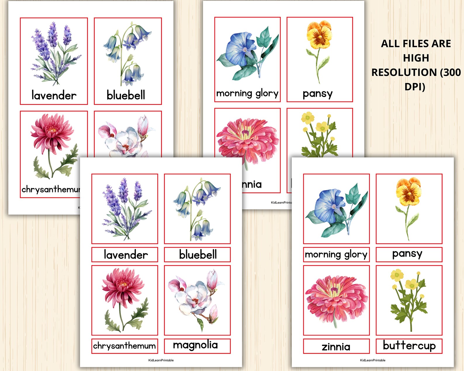 Flower 3-part Cards, Spring Montessori Activity,flowers Flashcards ...