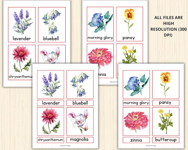 Flower 3-part Cards, Spring Montessori Activity,flowers Flashcards ...