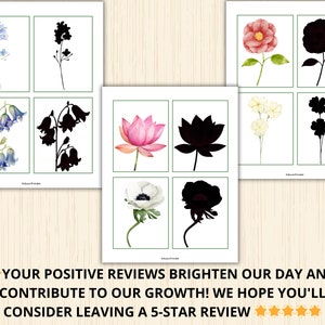 Flower Shadow Matching Card,flower Flashcards,spring Shadow,matching ...