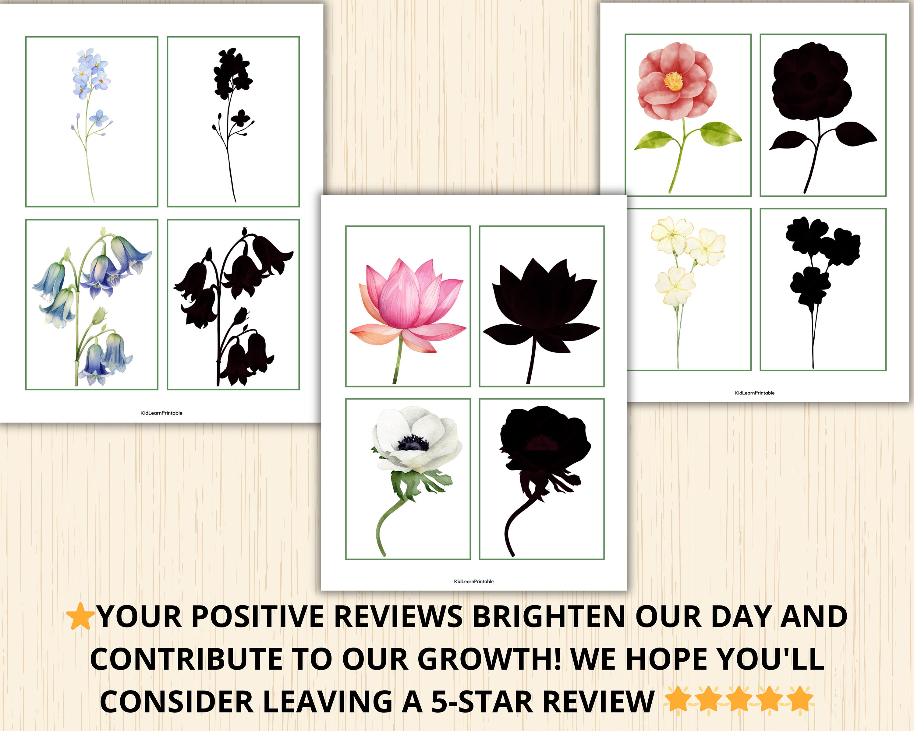 Flower Shadow Matching Card,flower Flashcards,spring Shadow,matching ...