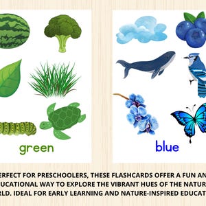 Colors in Nature Flashcards,nature Color Flashcards,montessori Colors ...