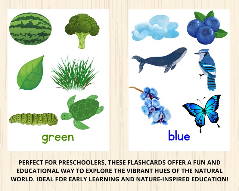 Colors in Nature Flashcards,nature Color Flashcards,montessori Colors ...