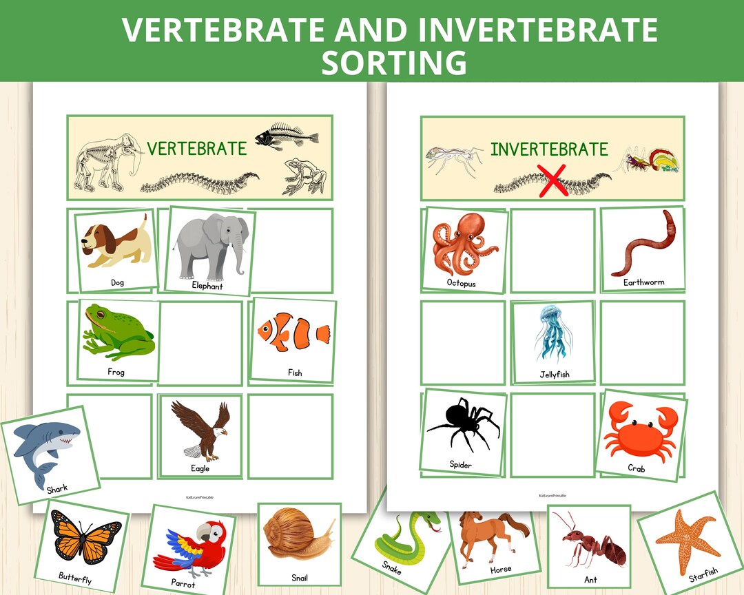 Animal Sorting Game,vertebrates and Invertebrates Sorting Cards,animal ...