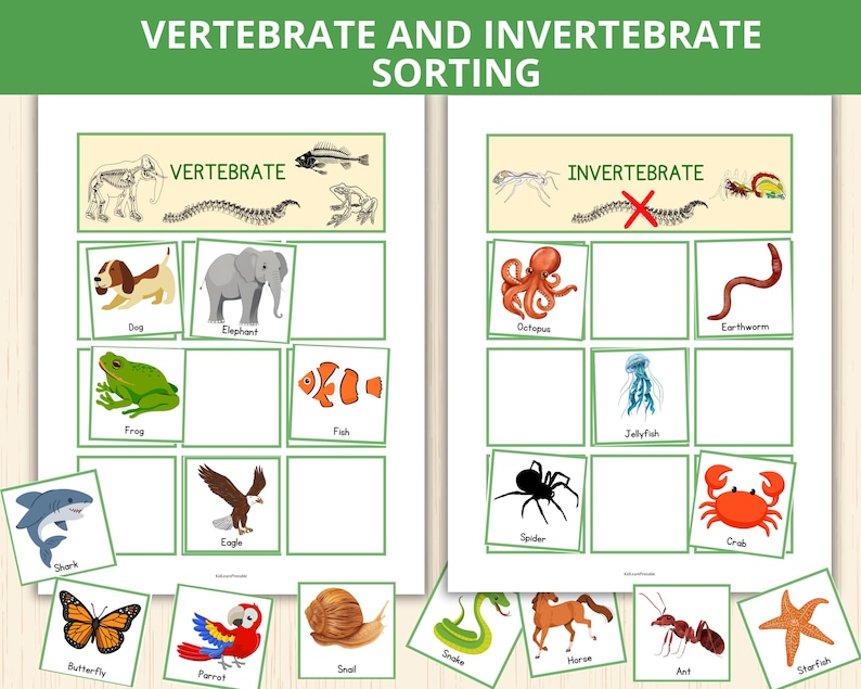 Animal Sorting Game,vertebrates and Invertebrates Sorting Cards,animal ...
