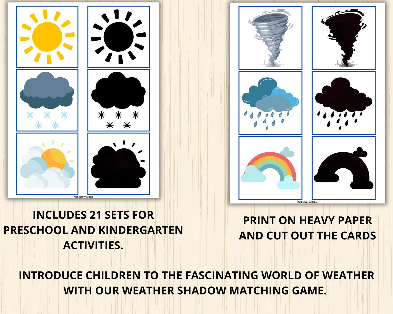 Weather Shadow Matching Cards,weather Montessori Toddler, Weather ...