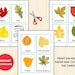 Autumn Leaves Flashcards,fall Montessori,homeschooling,leaf ...
